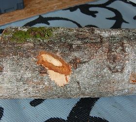 how-to-turn-an-old-log-into-a-side-table-hometalk