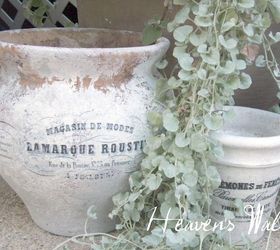 Container Gardening With French Country Flair | Hometalk