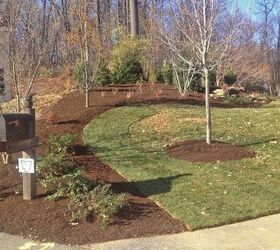 Fall Landscape Buffer Planting | Hometalk
