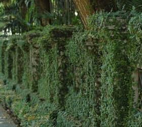 Guía para elegir la mejor valla | Hometalk