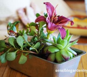 30 Creative Ways To Repurpose Baking Pans | Hometalk