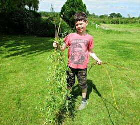 How to Easily Weave a Simple & Rustic Willow Ball | Hometalk