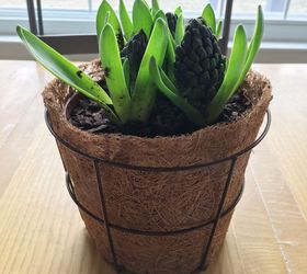 Removable Window Shelf for Plants | Hometalk