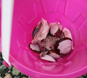 Arte de Praia - Flores de Conchas | Hometalk