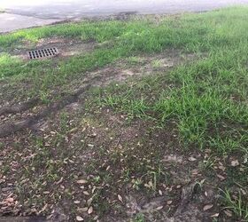 How to build a dry creek on a budget | Hometalk