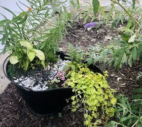 How to Make a Butterfly Garden DIY | Hometalk