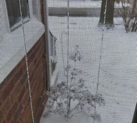 Ice inside windows | Hometalk