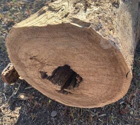 How to Make a Rustic Tree Round Centerpieces For Your Fall Table | Hometalk