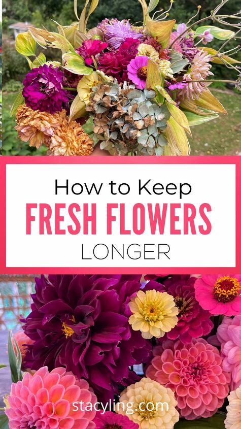 Como manter as flores frescas por mais tempo | Hometalk Como manter as flores frescas por mais tempo | Hometalk