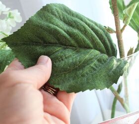 HOW I CLEAN MY FAUX PLANTS! | Hometalk
