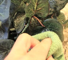 HOW I CLEAN MY FAUX PLANTS! | Hometalk