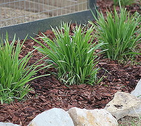 The Basics Of Mulch – What, How, Where, When and Why To Use | Hometalk