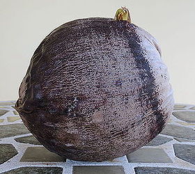 La semilla más grande que he plantado | Hometalk