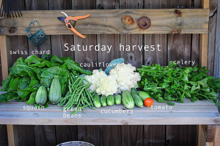 13 Benefits Of Raised Urban Gardening Hometalk