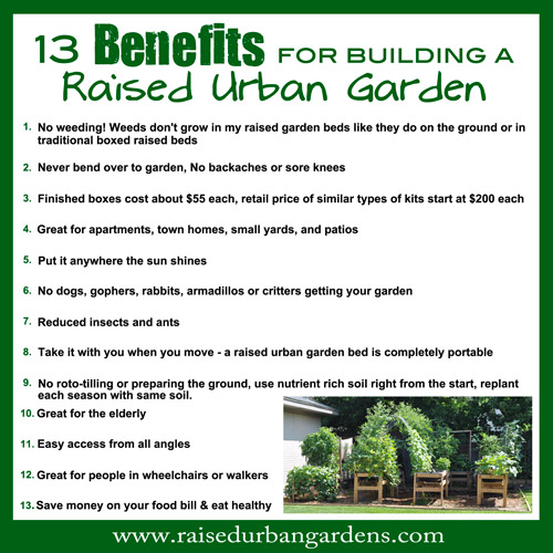 13 Benefits Of Raised Urban Gardening Hometalk