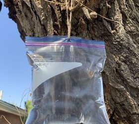 How to rid your home of pesky pests: a simple fly bag tutorial | Hometalk