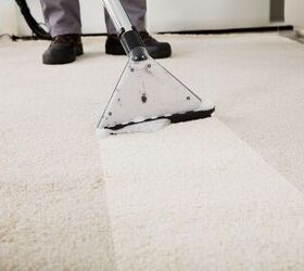 The 6 Best Carpet Cleaning Machines for Fresh Floors | Hometalk